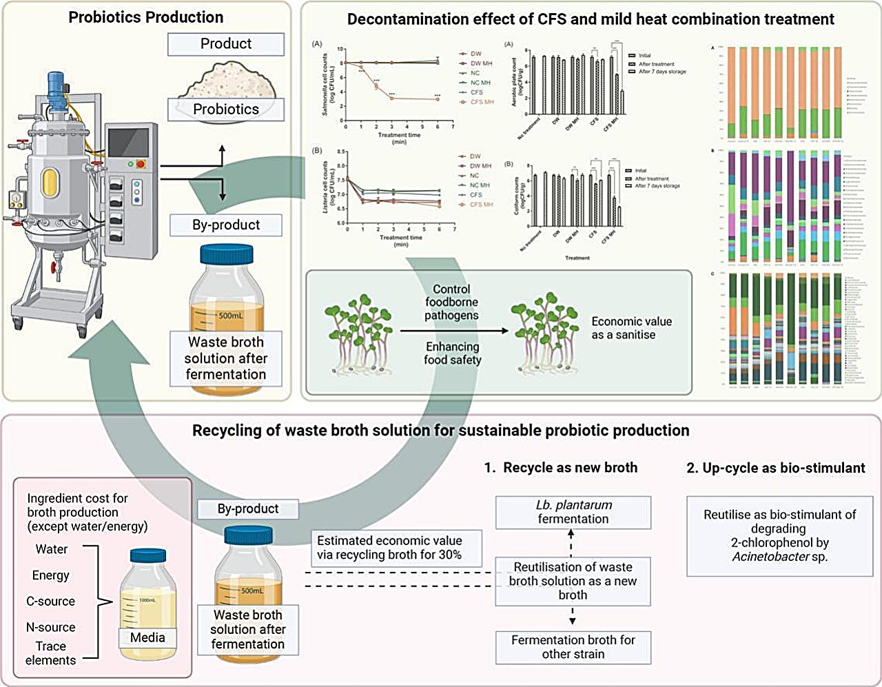 Researchers upcycle fermentation waste into vegetable sanitizer