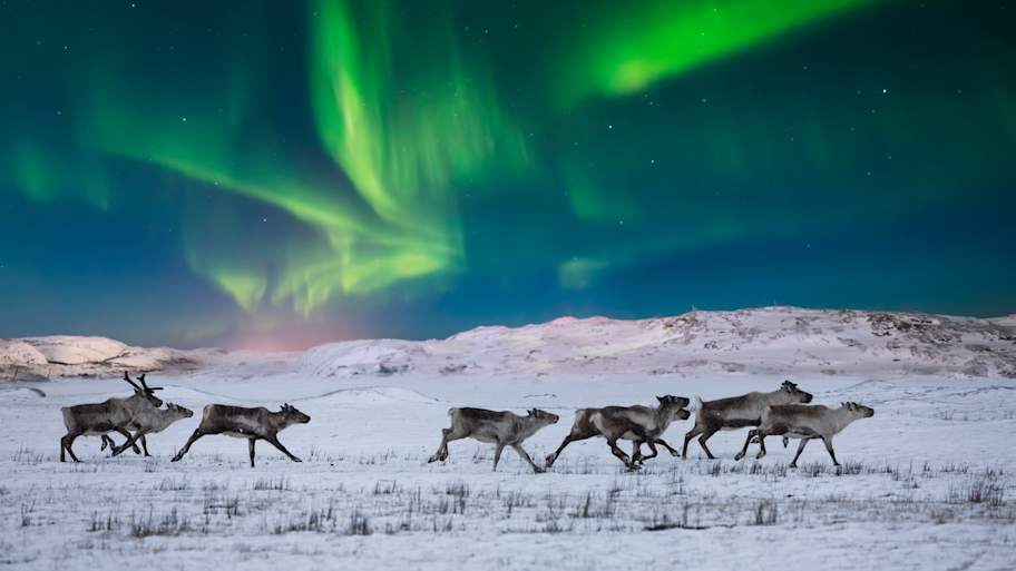 What Are the Northern Lights?