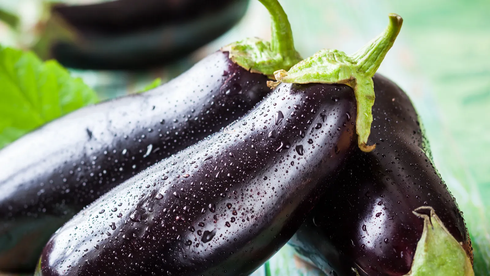 Spicy eggplant in olive oil that melts in your mouth