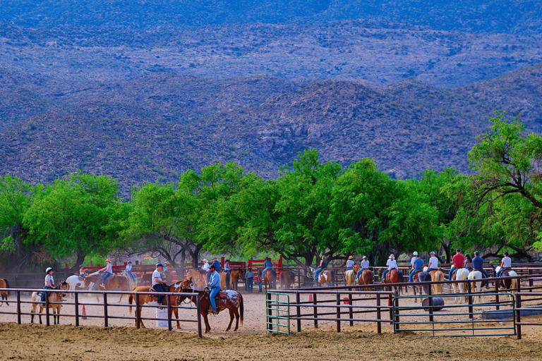 10 Wildest Cowboy Core Vacations in the U.S. for Your Next Adventure