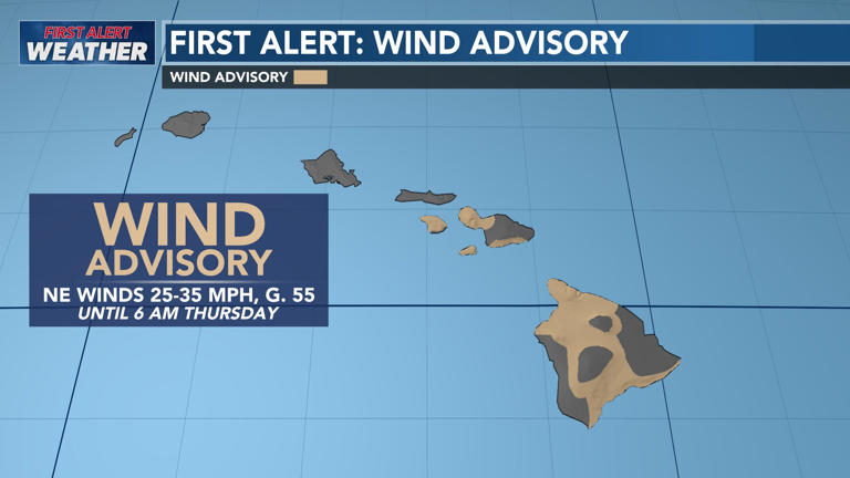 First Alert Forecast: Wind advisory issued due to gusty trade winds