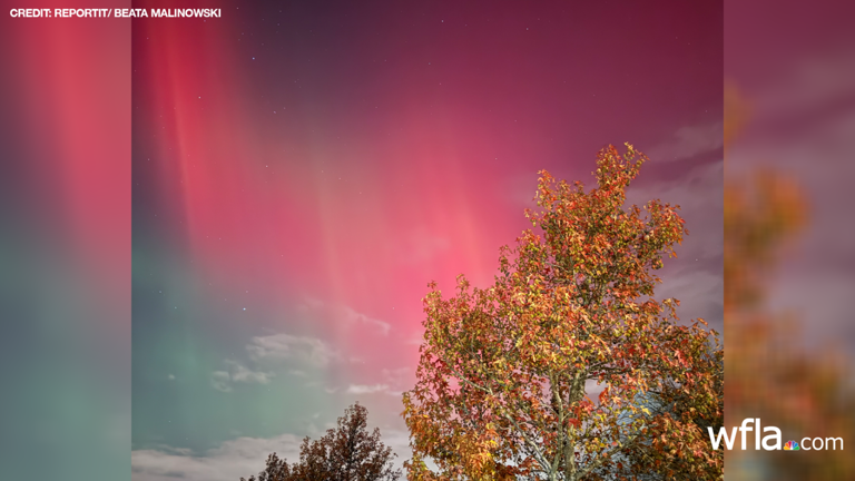 Solar storm brings northern lights to parts of Florida
