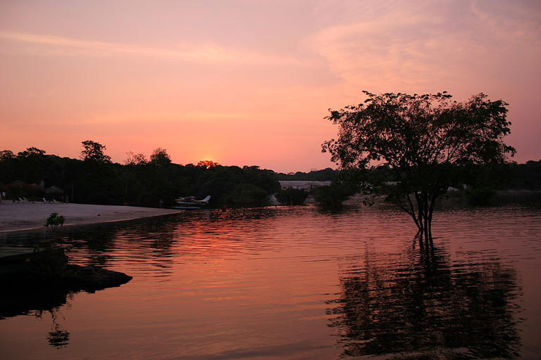 Microplastics Invade the Amazon Rainforest, Affecting Animals Even in ...