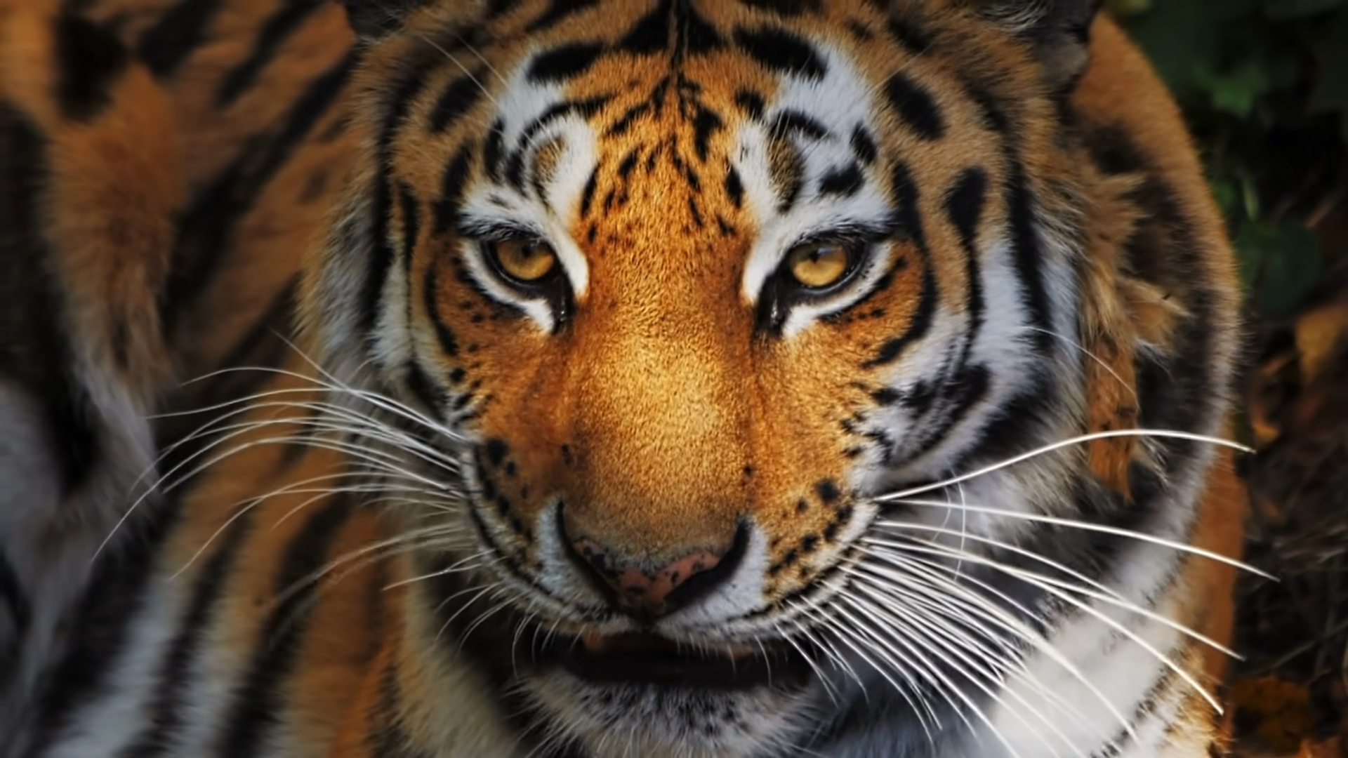 Earth’s deadliest ancient killers