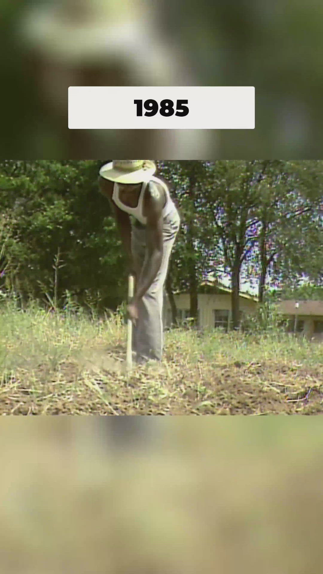 5NEWS Vault | Fayetteville man cares for community garden in 1985