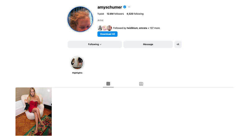 Amy Schumer deletes all pre-weight loss photos from social media as she ...