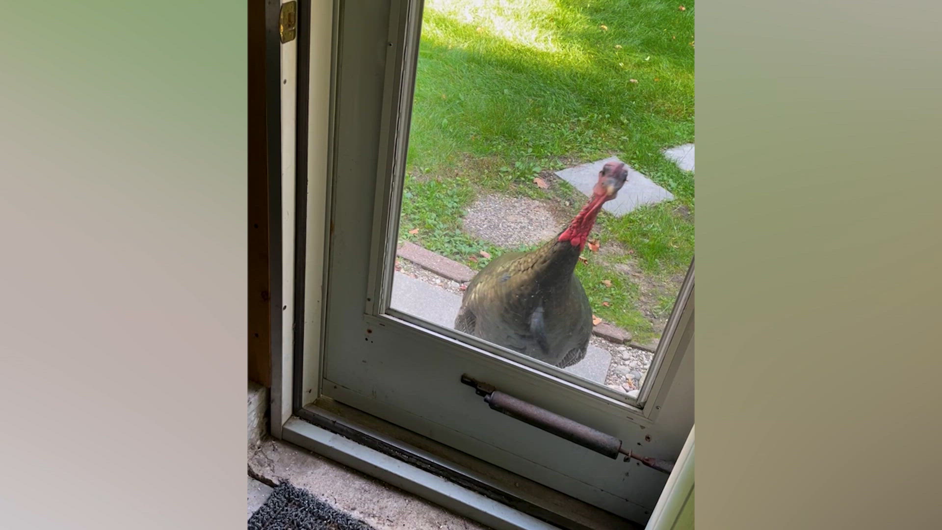 Epic Thanksgiving Fails