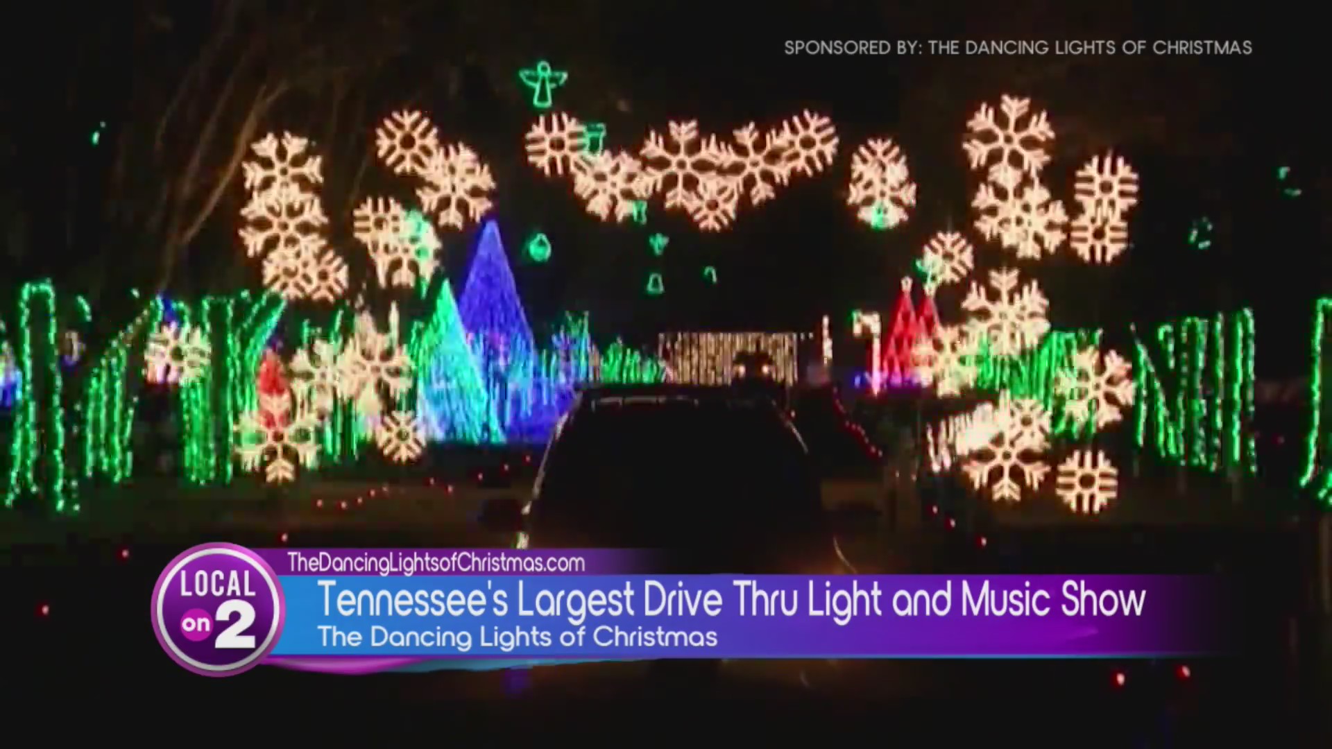 The Dancing Lights of Christmas: Enjoy the Lights and Make a Difference
