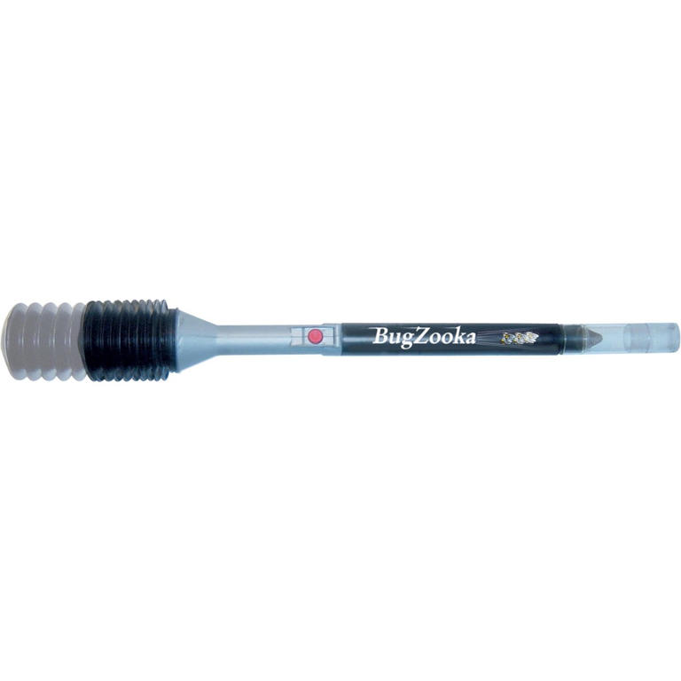 My Secret Weapon for Stink Bug Season Uses Zero Chemicals
