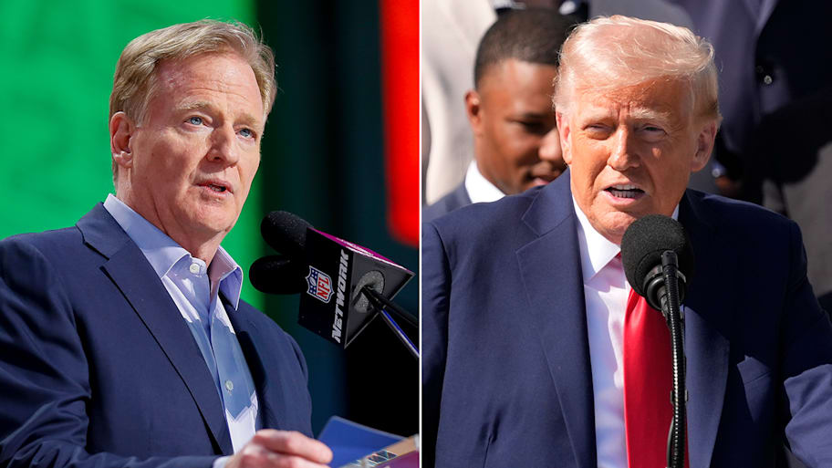 The NFL and Roger Goodell Are Providing a Blueprint for Tussling With ...