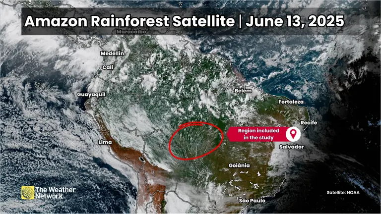 Amazon lakes turned to simmering basins, killing endangered animals