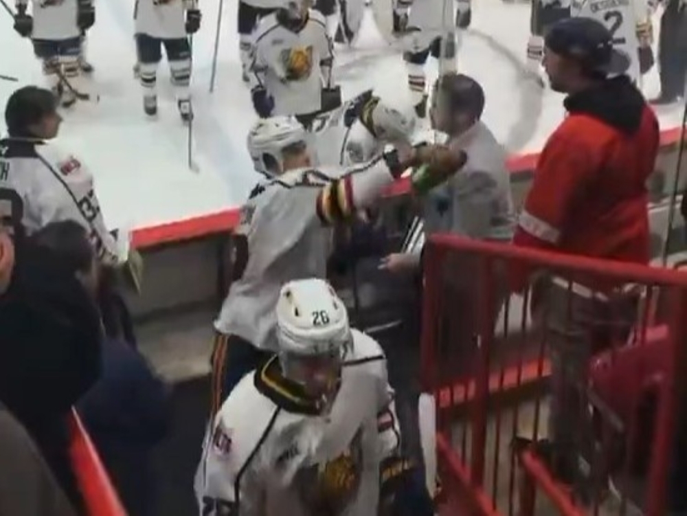 OHL star Kashawn Aitcheson suspended after wild post-game altercation ...