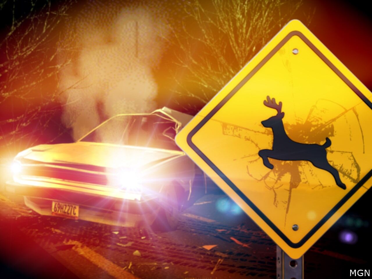 Deer breeding season brings increased crash risk for Iowa, Illinois drivers