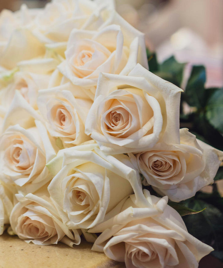 15 Times Romance Had Big Plans, but Real Life Wrote a Funnier Script