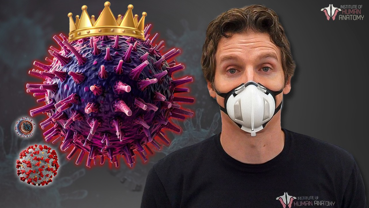 Viral mechanics: How influenza invades