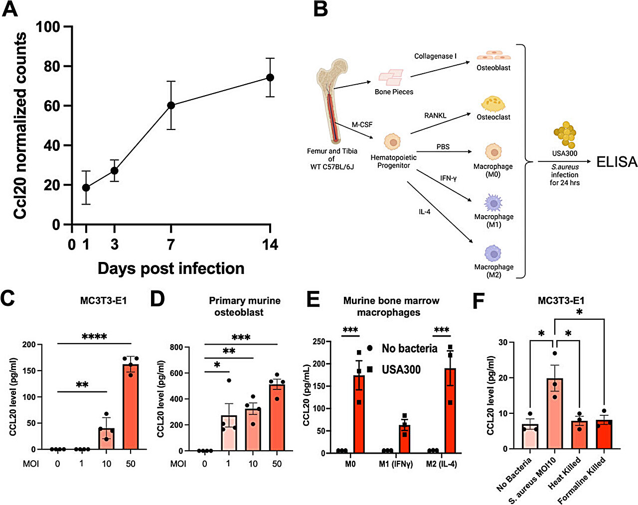Protein provides clues to identifying and treating crippling and costly ...