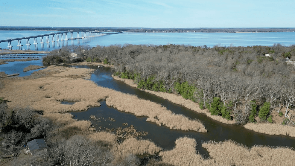 Potomac River water quality holds steady, but remains unsafe for ...