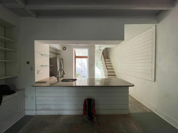 Before & After: Their Rebuilt Philly Town House Makes a Case for the ...