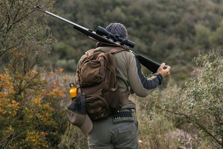 日本80歲獵人「單挑惡熊」 1槍讓牠歸西！網朝聖跪了：根本活傳奇