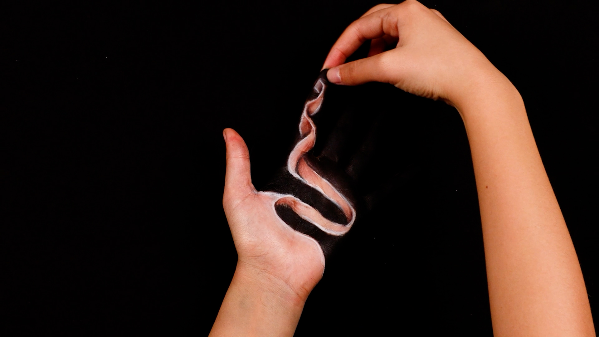 Artistic Hand Painting Illusions