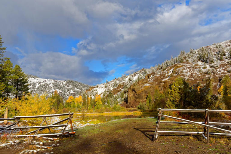 Best US Spots for Spotting Wildlife