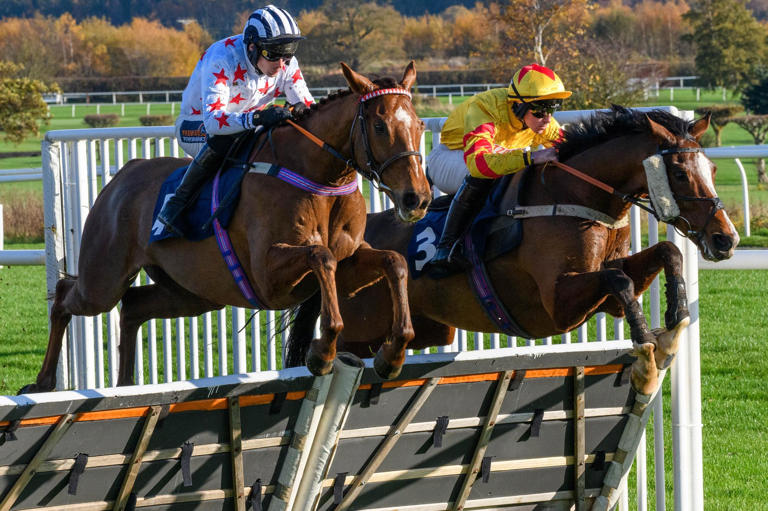 Second win of year at Kelso for Cadell in £20,000 feature race