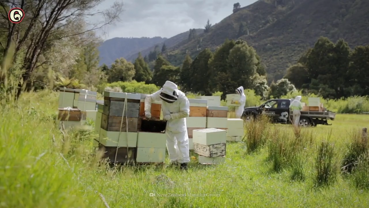 Why this New Zealand honey is worth more than gold