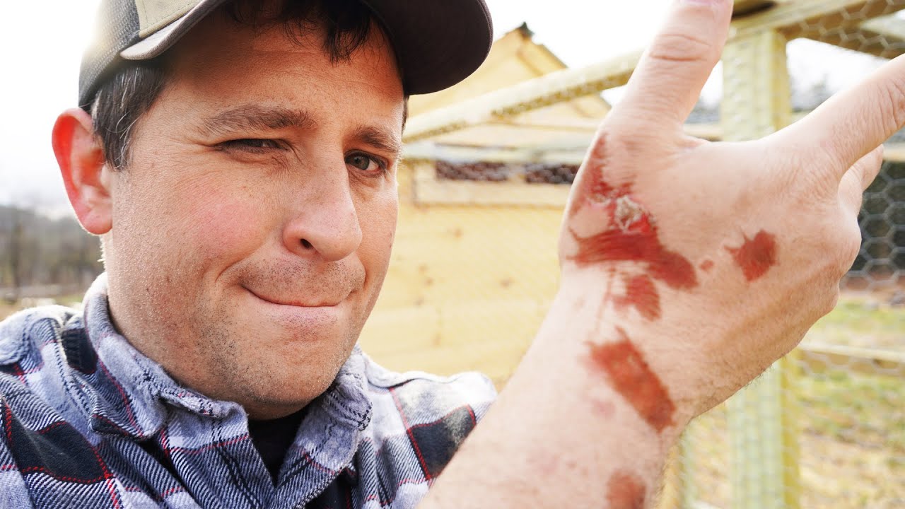 Crazy Farm Injury Teaches a Hard but Valuable Lesson