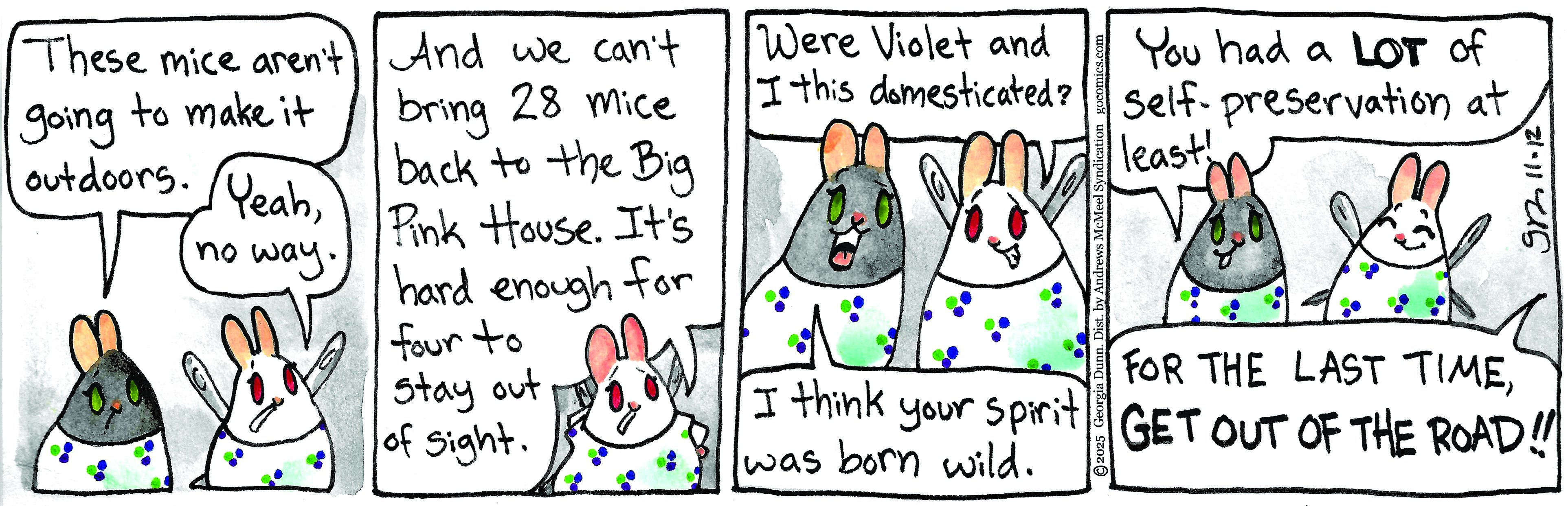 Breaking Cat News by Georgia Dunn