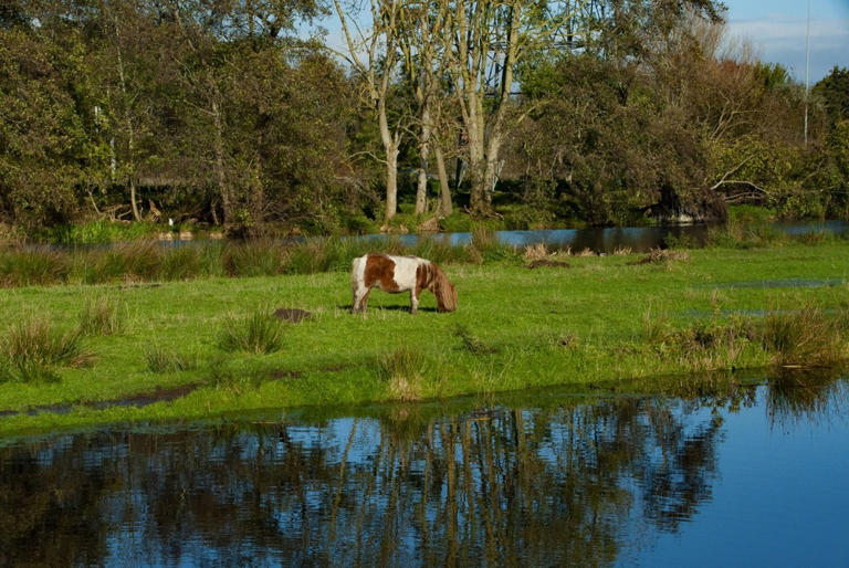 Quirky Small-Town Traditions Across the US
