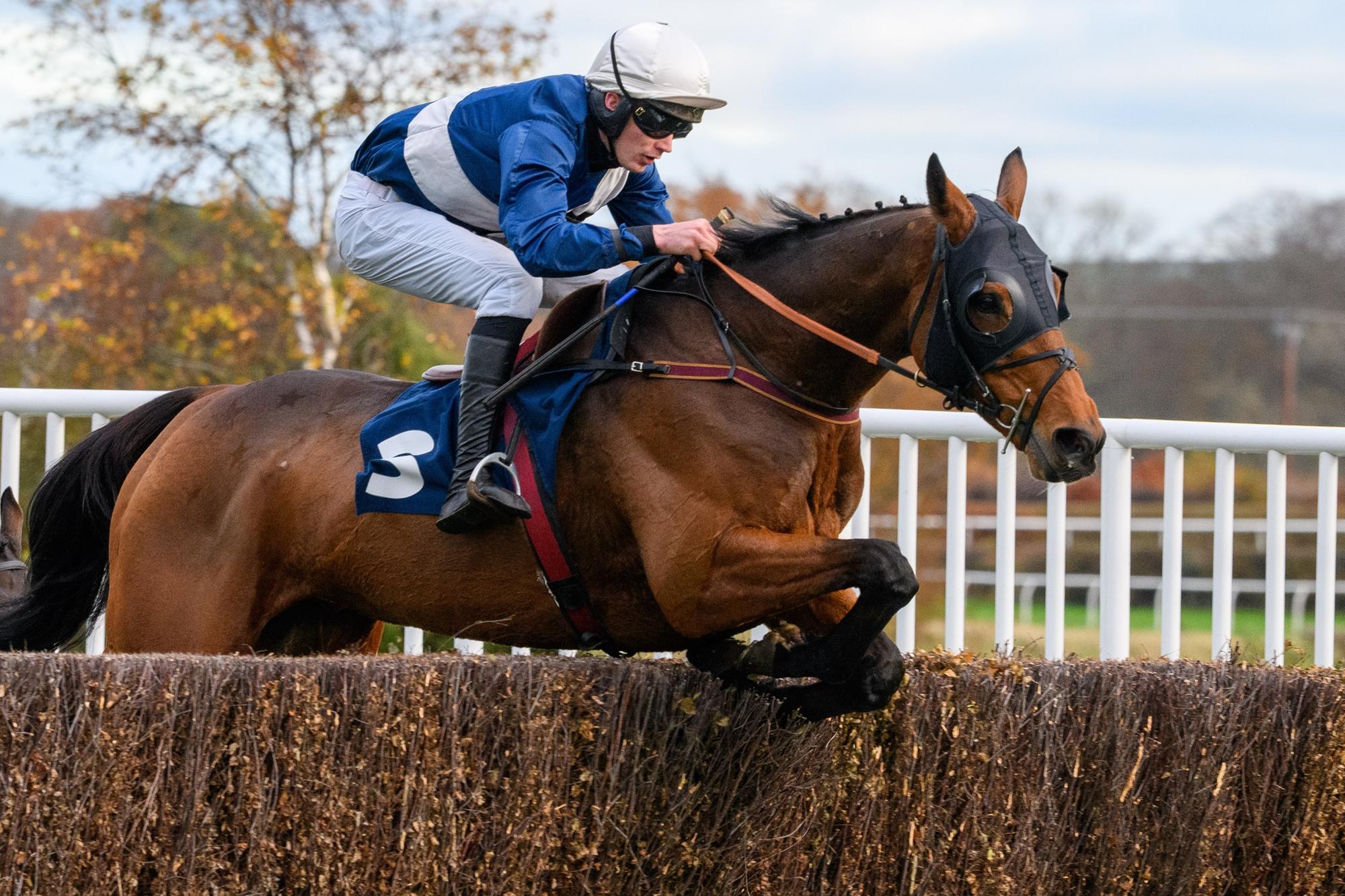 Second win of year at Kelso for Cadell in £20,000 feature race