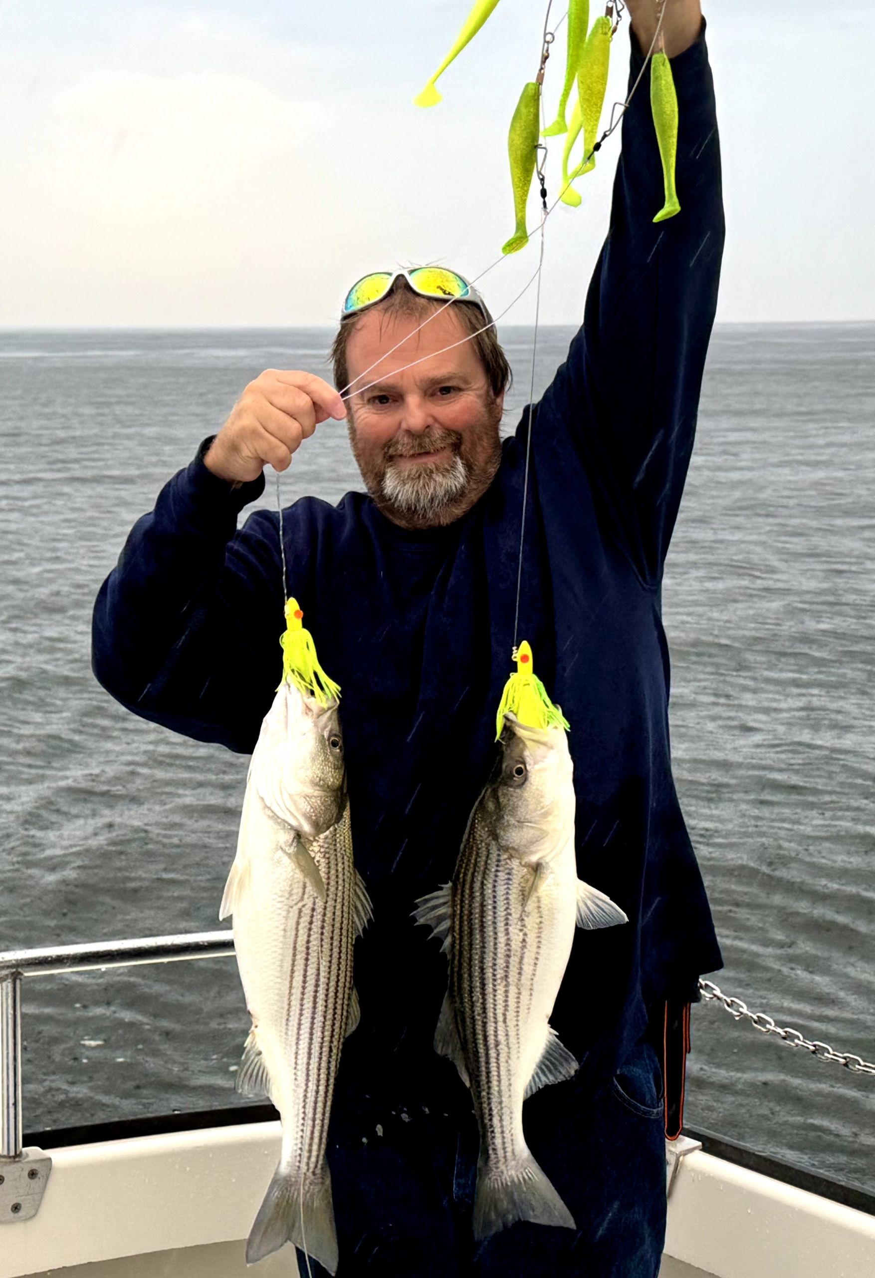 Rockfish Schools Thrive in Upper Potomac, Patuxent