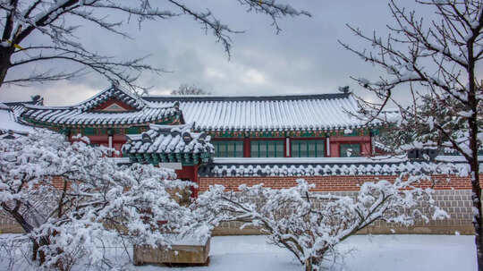 South Korea Is The Hottest Winter Vacation Destination For Indian ...