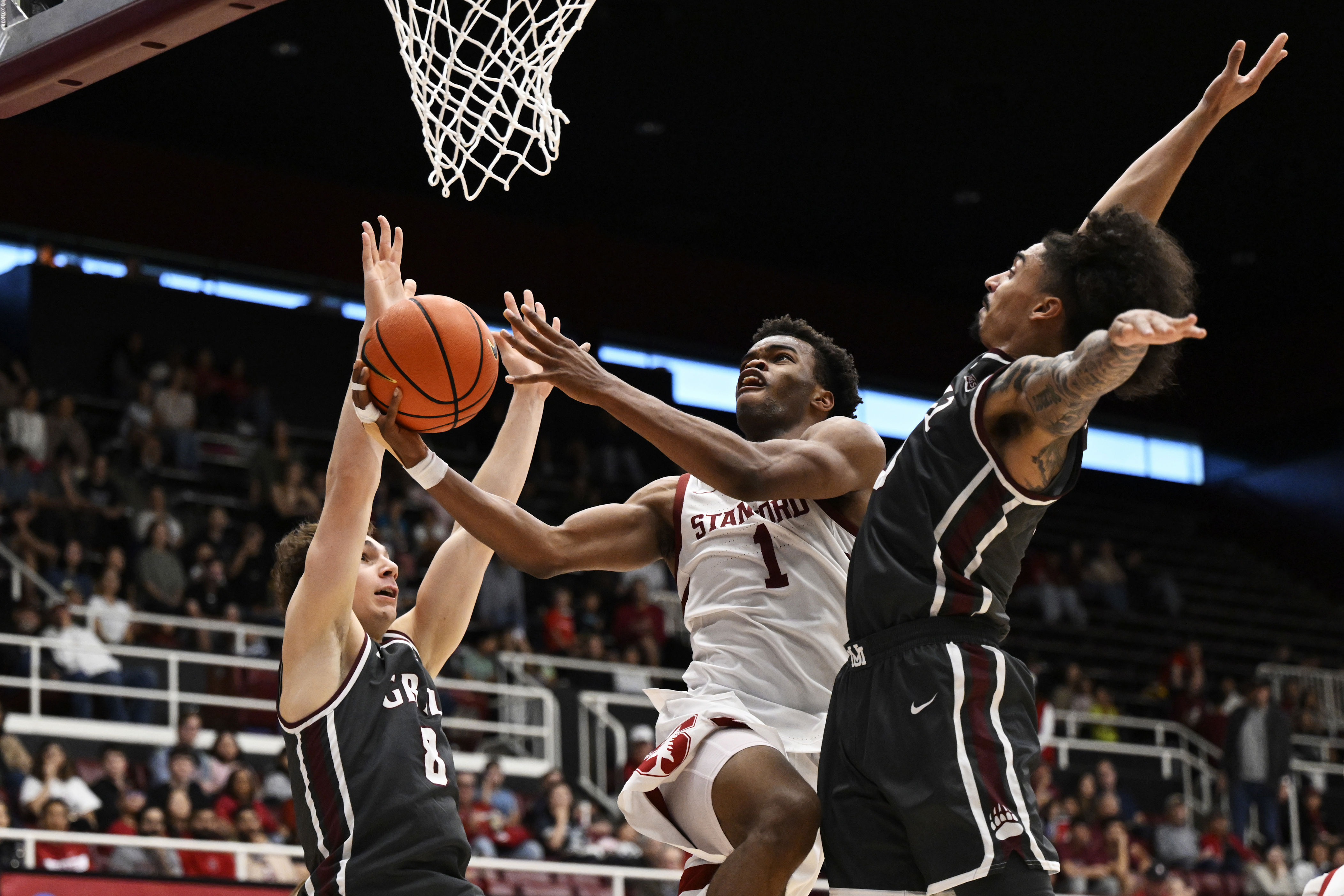 The best freshman hoops class in years