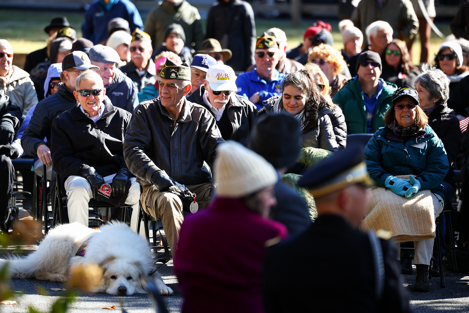 Dunwoody dedicates new veterans installation at Brook Run Park
