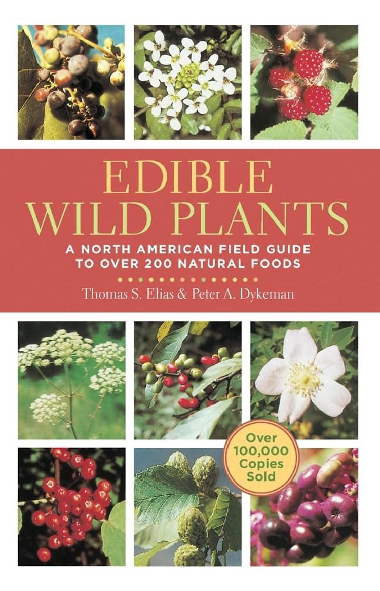 The ultimate plant parent gift guide