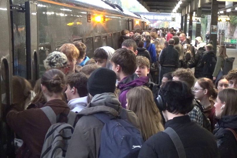 Commuters injured in 'mosh pit' chaos on Devon's rail line from hell