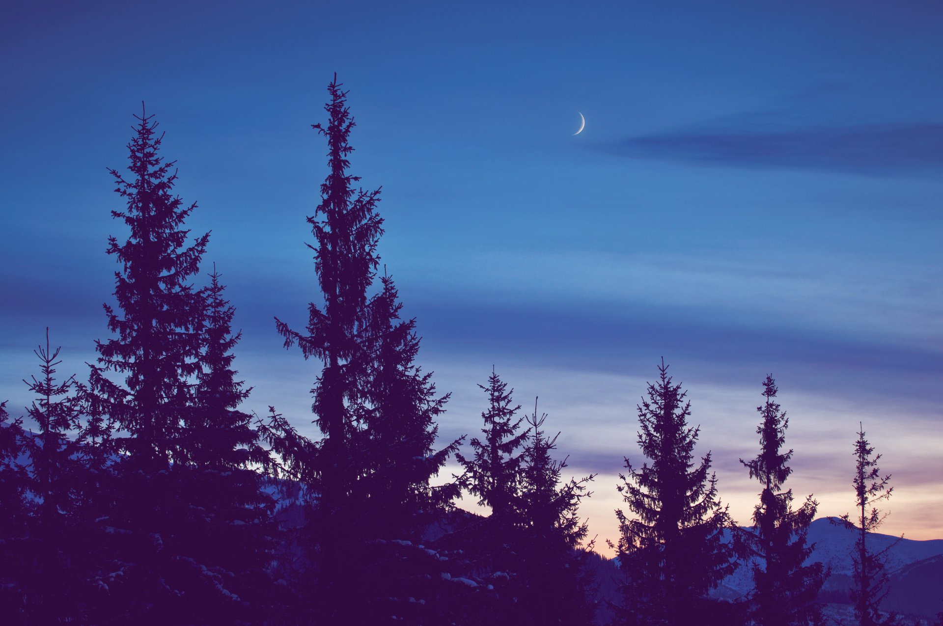 Neumond im Skorpion am 20. November: Uff, jetzt erwartet uns alle eine ...