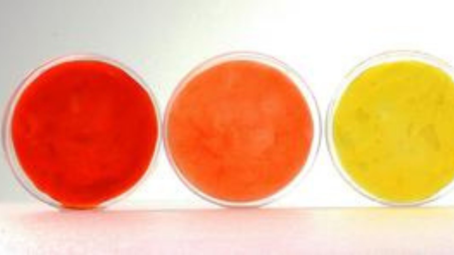 Scientists grow living, rainbow-hued textiles using color-making bacteria