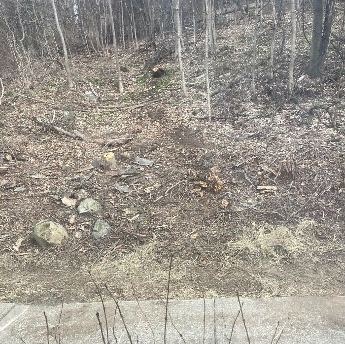 If You Think Your HOA Is Bad, Just Wait Until You See These 35 Photographs