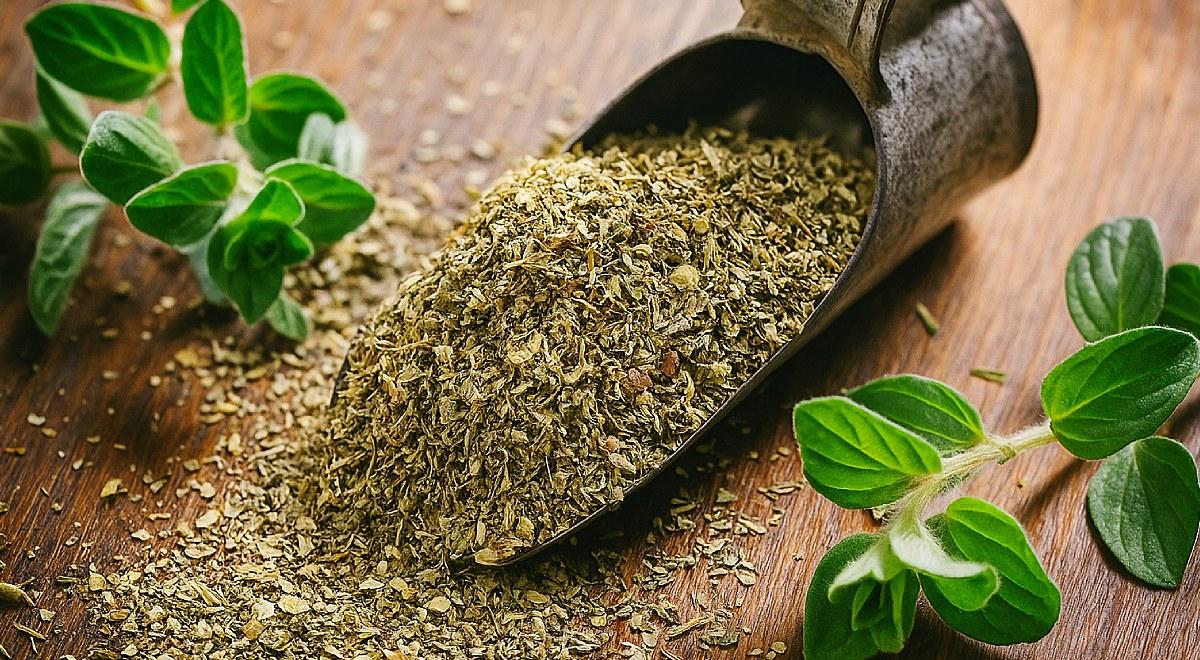 El orégano es más poderoso de lo que imaginas: conoce para qué sirve y ...