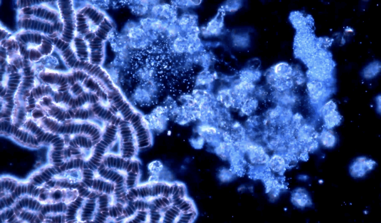 8 Reasons Dumping Trash on Jupiter Would End Badly