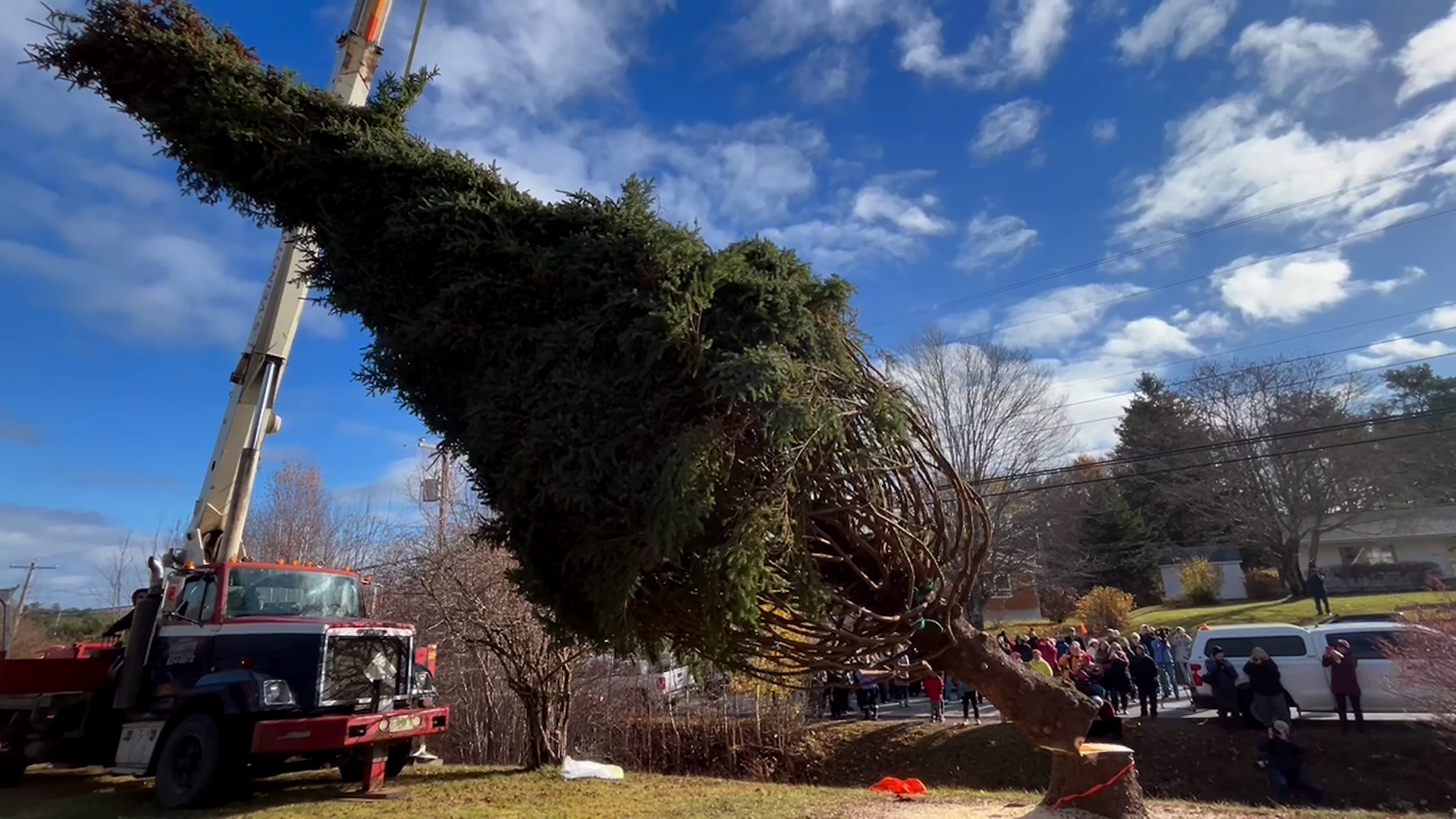 Tariff tensions don't stop annual Christmas tree gift from Nova Scotia ...