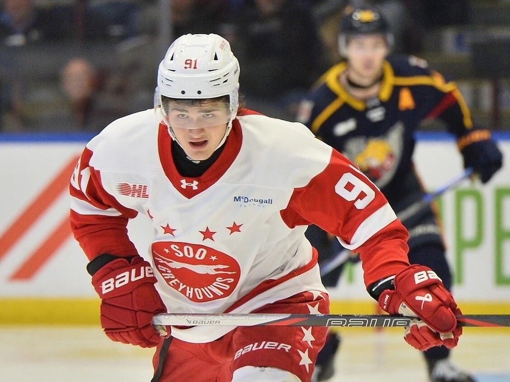 Belle River's Noah Laus exceeding expectations in rookie season with Greyhounds