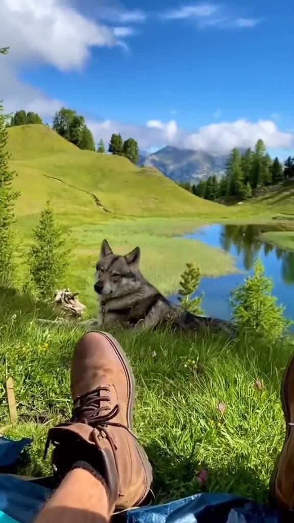 good morning pack