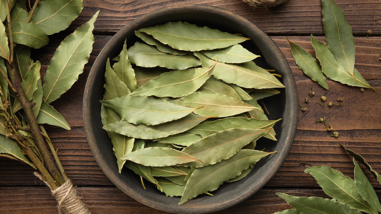 I tried this trick to banish kitchen odors using a popular herb — and ...