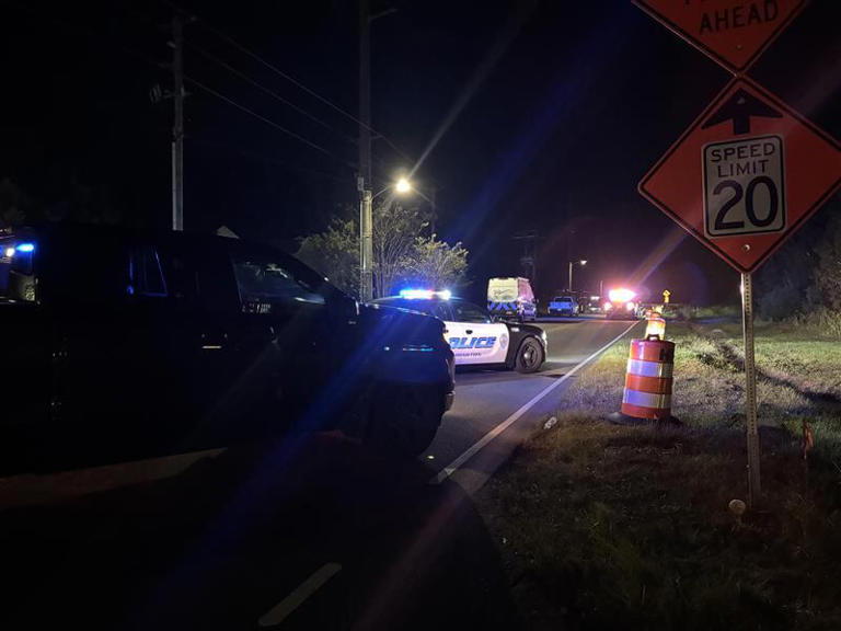 Wilmington woman awaiting extradition after fatal hit-and-run