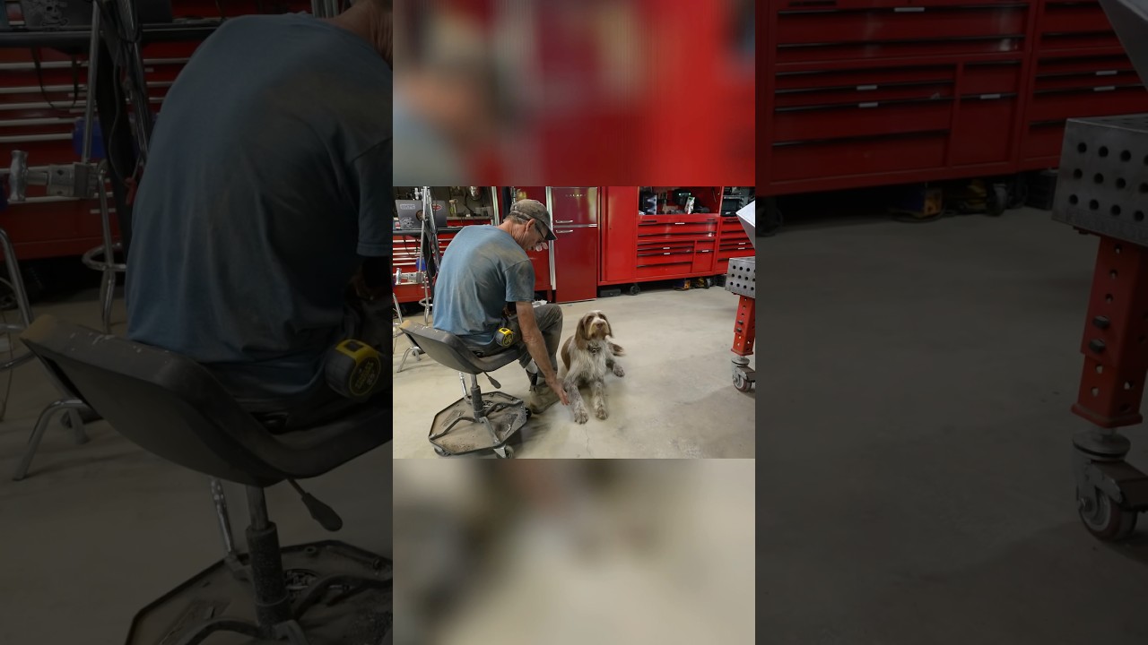 I found the secret to Einstein's genius 🚗