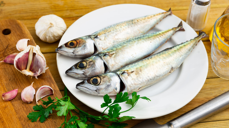 Popular Fish With The Lowest And Highest Mercury Levels