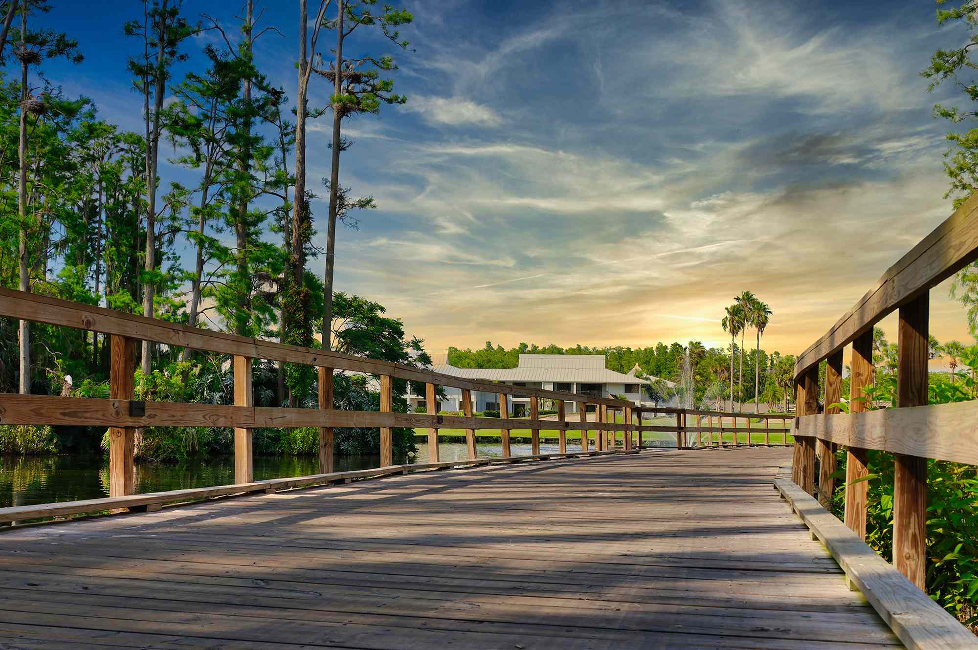 This Newly Renovated Florida Resort Has 41 Tennis Courts, a Massive ...
